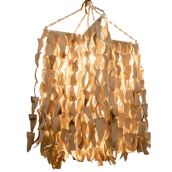 Star : Coconut Pendant Light. – BisqueTraders