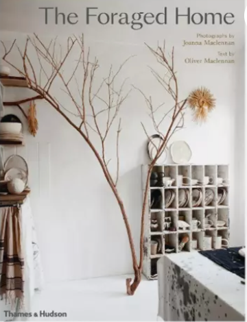 The Foraged Home – BisqueTraders